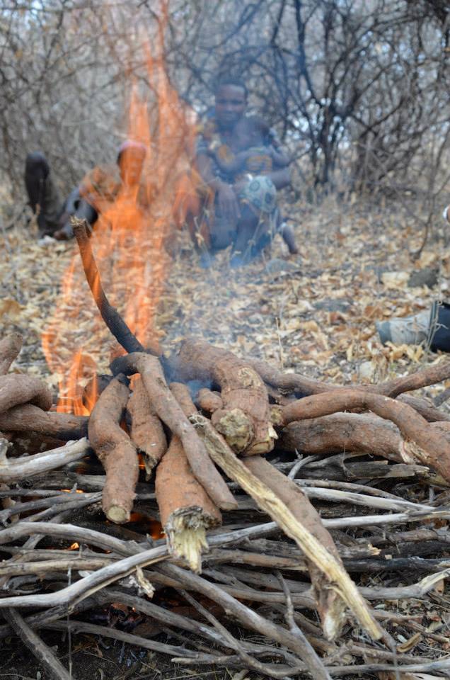 Foraging and Cooking Wild Tubers | Center for Academic Research and ...