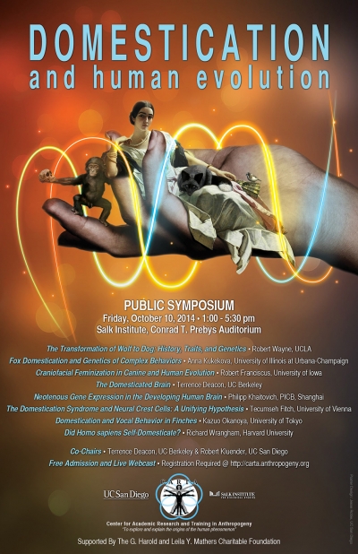 Domestication and Human Evolution | Center for Academic Research and ...